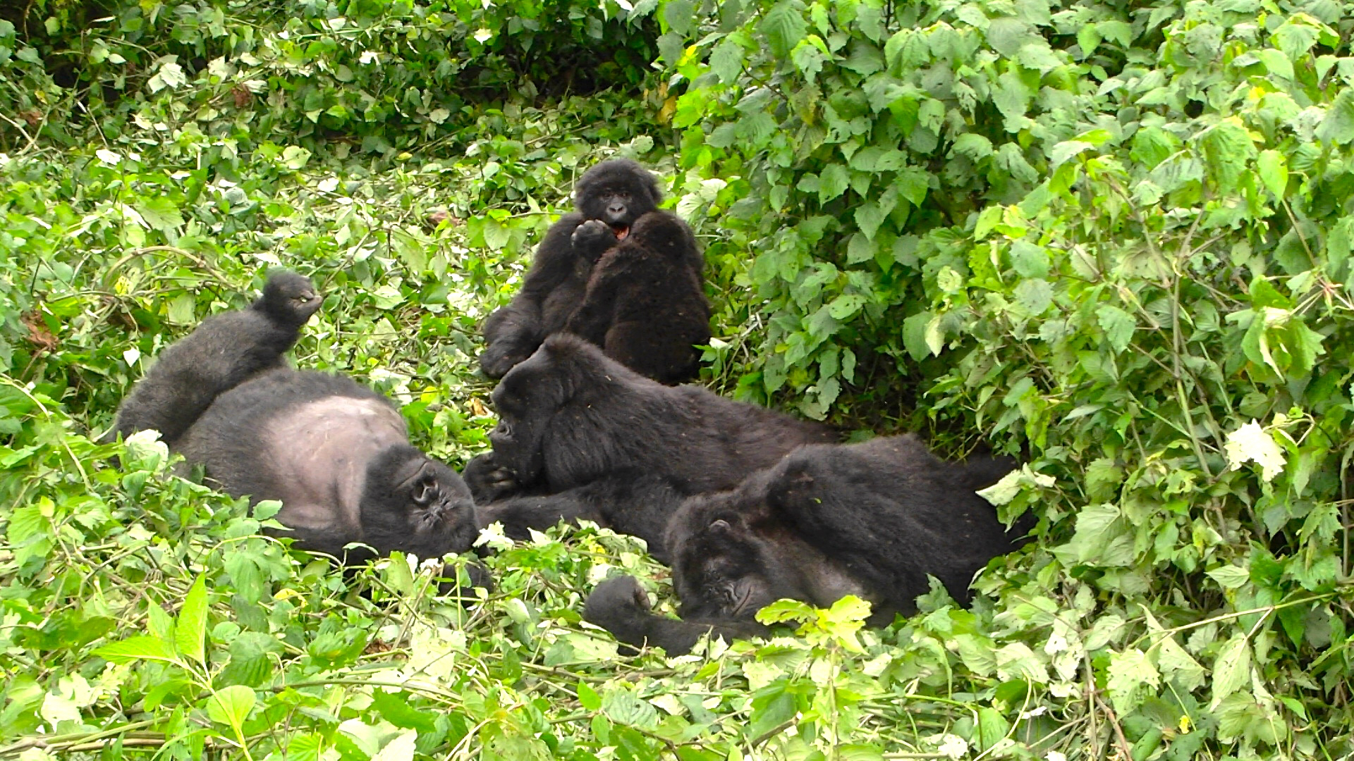 Rwanda | BackpackU